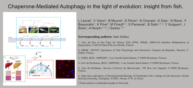 CMA et l'évolution : l'exemple des poissons - CFATG