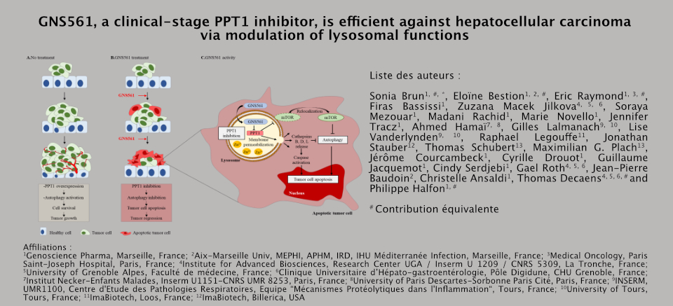 GNS561, a clinical-stage PPT1 inhibitor, is efficient against ...
